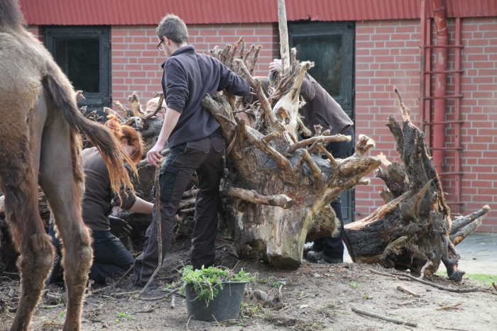 ZOO BRAUNSCHWEIG | Ausbildung
