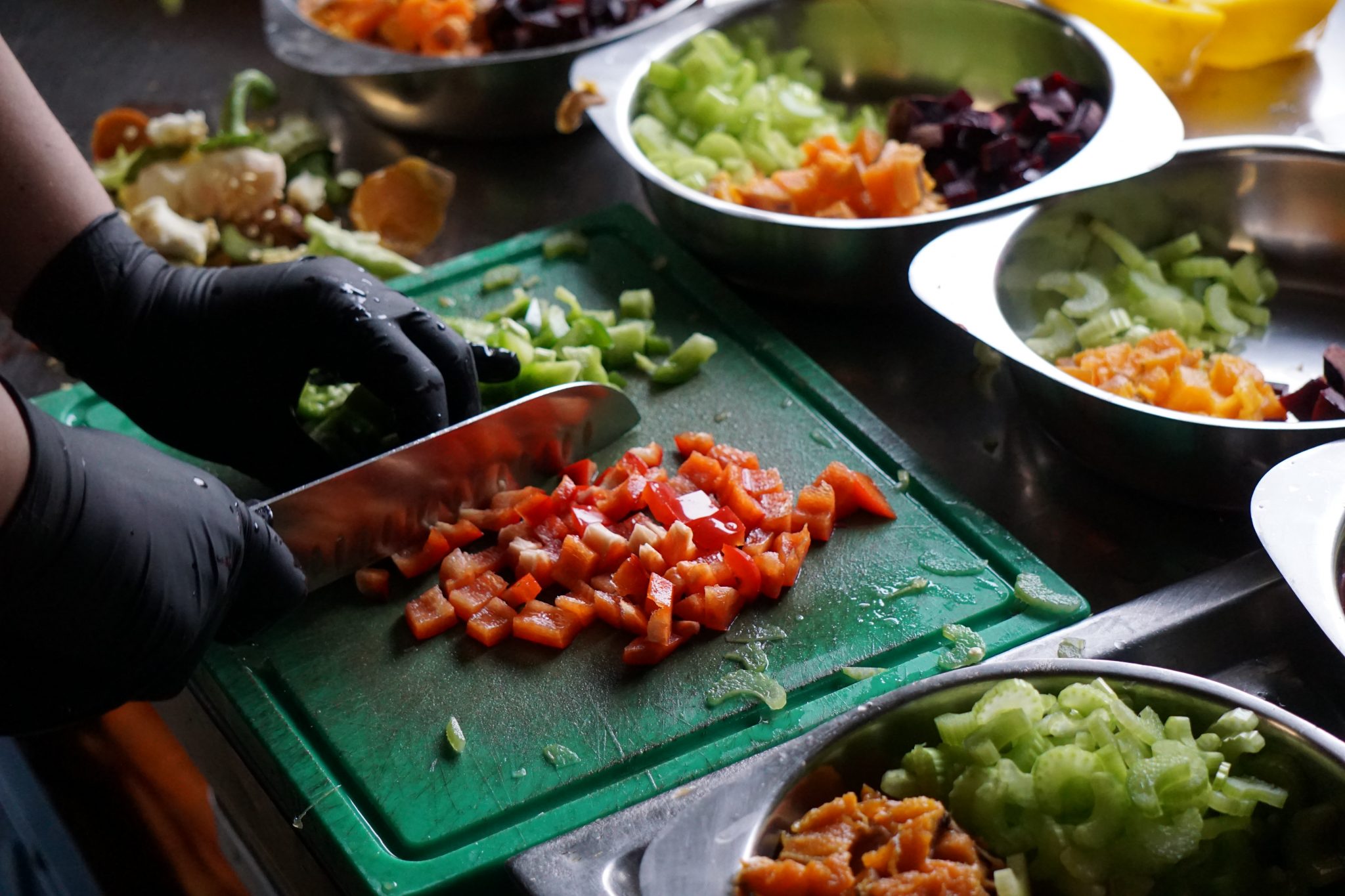 Ausbildung & Jobs – Zoo Braunschweig